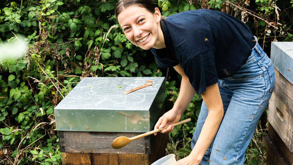 Stage d'Apiculture DOUCE : une expérience unique - blog