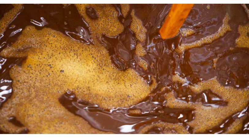 Black Extract of Propolis : The most active